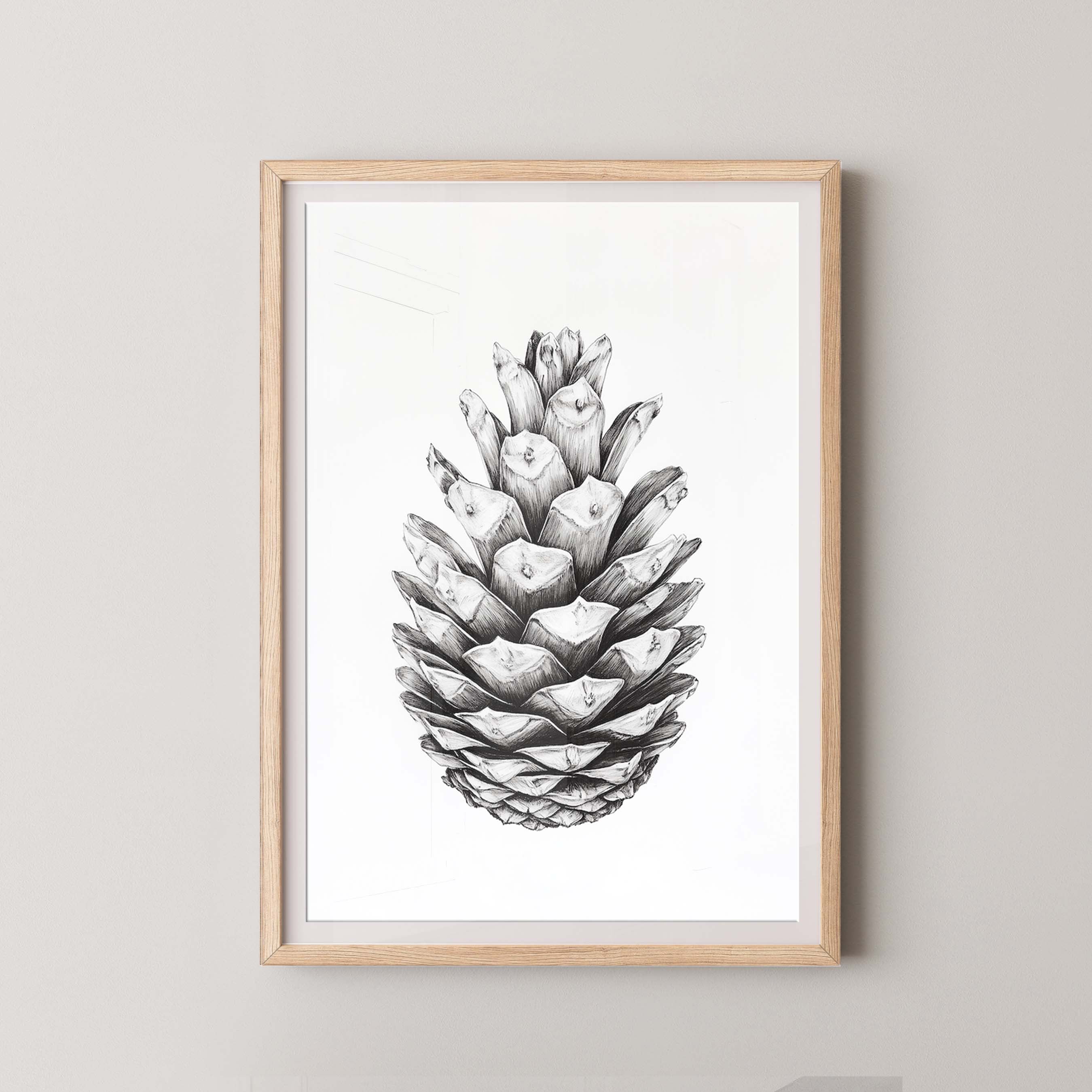 Cone II – Storyline Prints